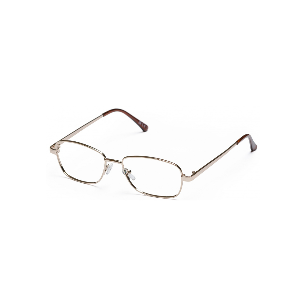 Bulldog BD01 Gold Glasses | Glasses Store